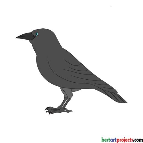 How To Draw A Crow