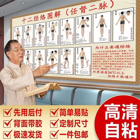 人体十四条经络全身经络图十二经络穴位图中医养生馆人体穴位海报human Body Fourteen Meridians Whole Body