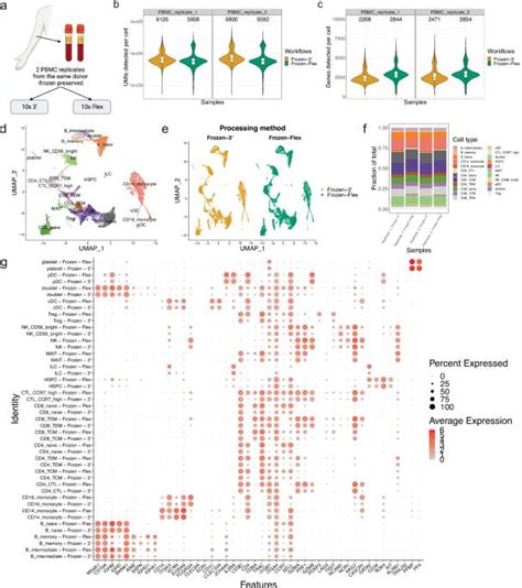 Luciano G Martelotto On Linkedin Snpatho Seq A Versatile Ffpe Single Nucleus Rna Sequencing