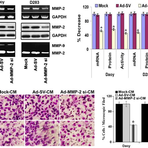 Mmp 2 Inhibition In Medulloblastoma Cells Alters Cytokine Profile A