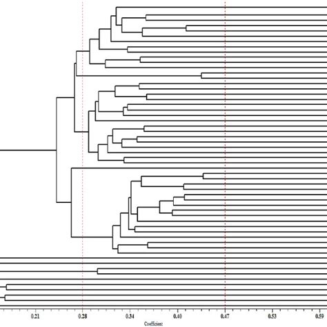Dendrogram Produced By Jaccards Coefficient And The Unweighted Pair