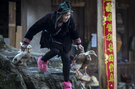 忙新春 朱应军 富士胶片影赛