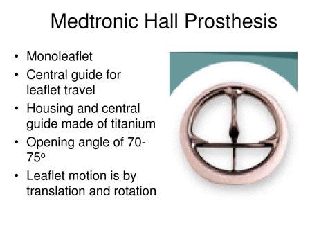 Ppt Aortic Valves Powerpoint Presentation Free Download Id642137