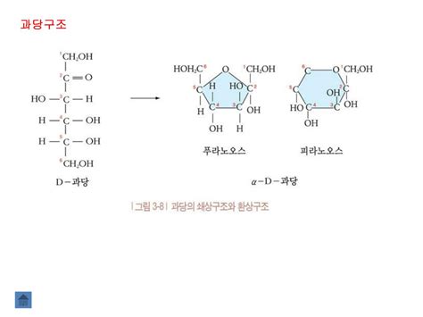 Ppt 제 3 장 탄수화물 Powerpoint Presentation Free Download Id2890559
