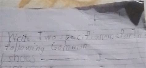 Write Two Pecifianametorin Following Gommn Studyx