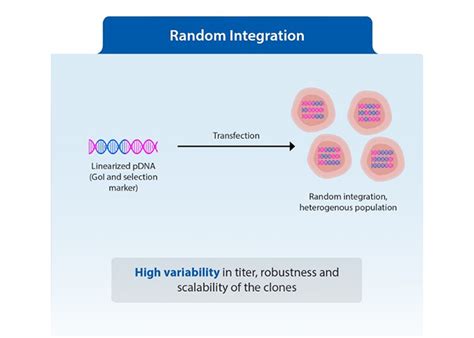 Reducing Variability In Gene Expression Bottlenecks And Solutions