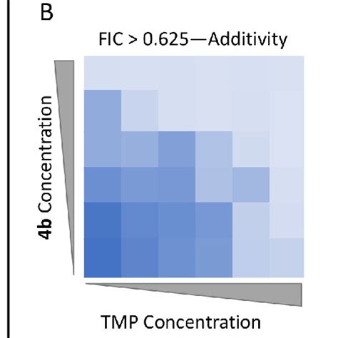 Checkerboard Assay Heat Maps Examining The Synergistic Additive Or