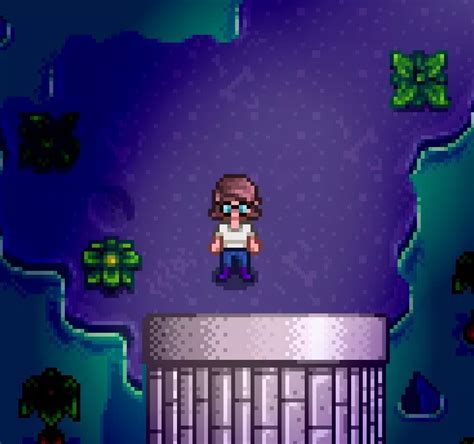 Stardew Valley Unlockable Locations Guide Knowledgebase BisectHosting