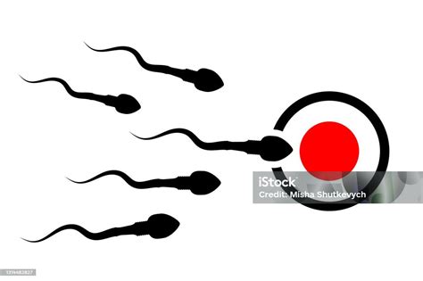정자를 가진 계란의 수정 정자 세포 지도자 계란을 향해 실행 하는 정자 이동 정자의 배경 벡터 일러스트레이션 정자에 대한 스톡