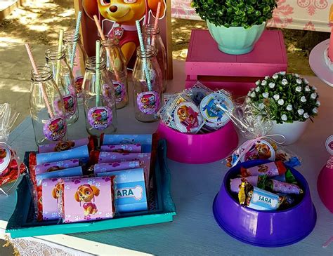 Paw Patrol Birthday Skye And Everest Paw Patrol Birthday Party