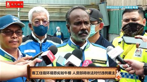 20230125 客工住宿环境恶劣如牛棚 人资部将依法对付违例雇主 Youtube