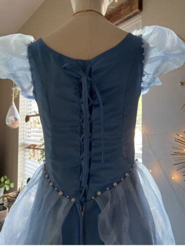 Cinderella Transformation Gown Princessfancy Adult Gem