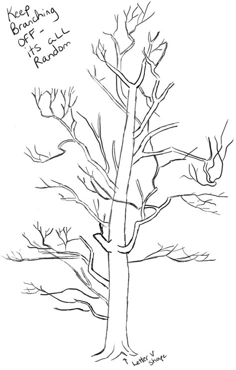 How To Draw A Realistic Tree Step By Step Easy