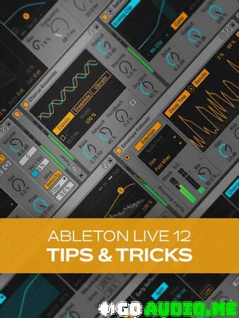Groove Ableton Live Tips Tricks TUTORiAL Go AudiO Official