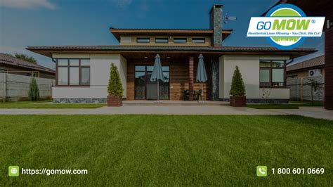 Common Lawn Problems And How Professional Lawn Services Can Help Gomow