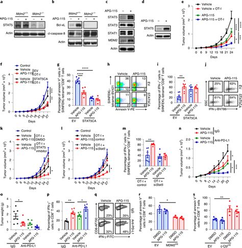 Targeting The P53mdm2 Interaction Stabilizes T Cell Stat5 And