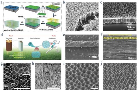 Examples Of Top‐down Patterning A Schematic Illustration And Bc Sem Download Scientific