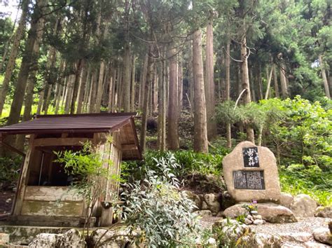 滋賀約55万年以上のパワースポット河内の風穴ヤマトタケルを癒した清水に咲く宿場町の珍しい梅花藻 たびこふれ