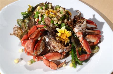 Aaron Langille Typhoon Crab And The Omnivore World Tour