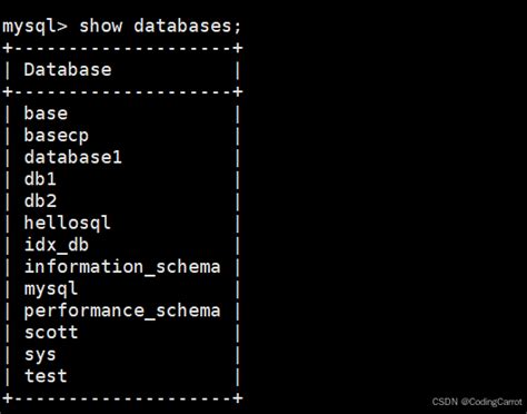 【mysql】数据库的基本操作mysql基本操作 Csdn博客