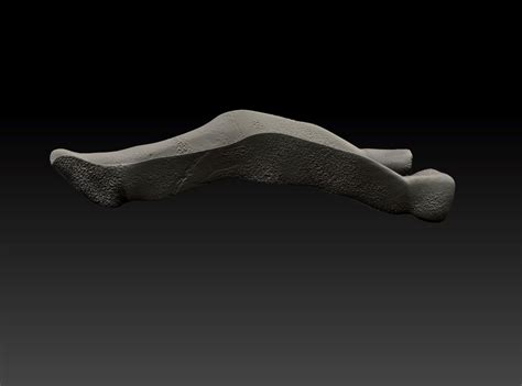 Dodo Bird Skull 3d Printable 3d Model 3d Printable Cgtrader