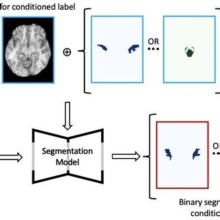 Label Conditioned Segmentation Download Scientific Diagram