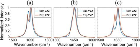 Comparison Between Simulated And Experimental Sfg Spectra A Red Download Scientific Diagram