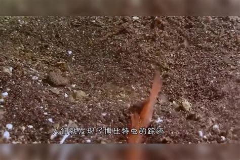 深海中一种隐形“变态杀手”，体长3米，比鲨鱼更令人闻风丧胆！