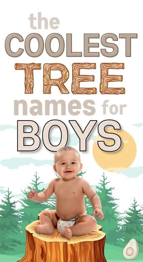 117 Majestic Tree Names For Babes That Are Cool In 2025