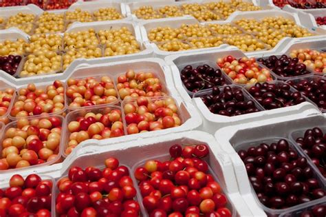 Евродом — Производство и продажа изделий из пенополистирола