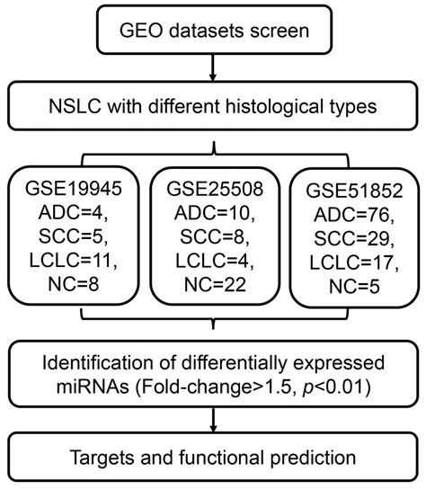 schematic of workflow depicting the eligible datasets and analysis