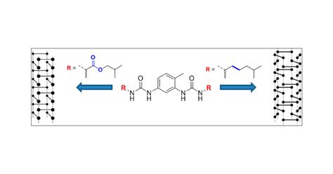 Structural Control Of Bisurea Based Supramolecular Polymers Influence