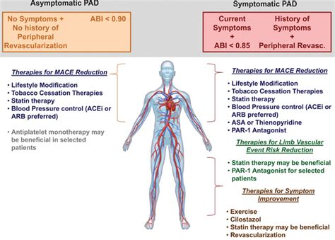 Pharmacological Treatment And Current Management Of Peripheral Artery