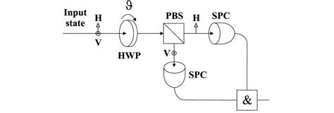 The Setup For The Coincidence Measurement Download Scientific Diagram