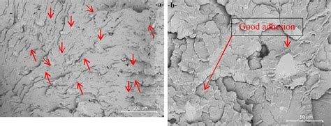Distribution And Adhesion Of Va Particles In Pps Composites A Original Download Scientific