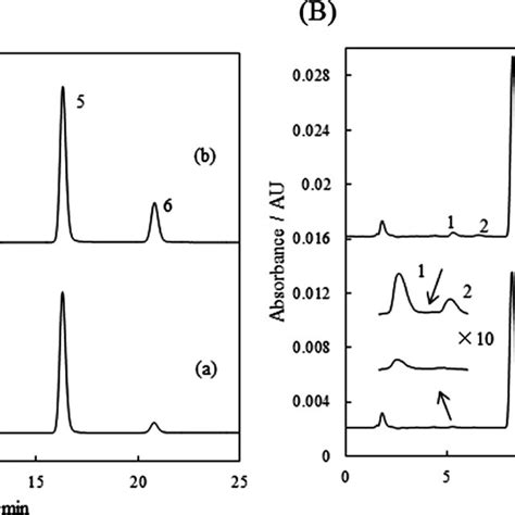 Ion Chromatograms Of Seawater Samples A Surface Seawater Samples 1