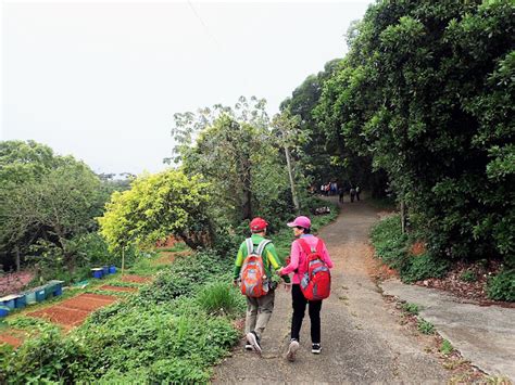 竹林山觀音寺給觀世音菩薩參拜祝壽 順走新林步道及老公崎步道 健行筆記