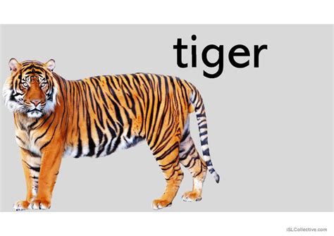 Animals Learning Guessing And Spea English Esl Powerpoints