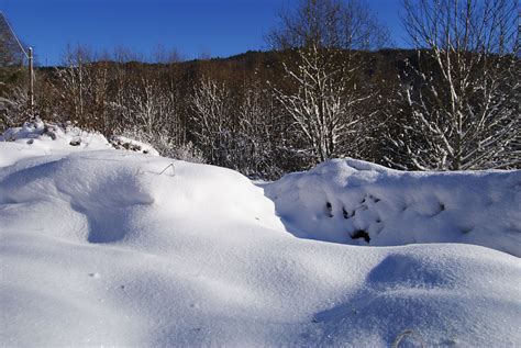 Neve