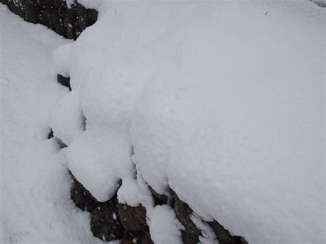 秋の気温と冬の気温は関係がある？【暖秋・寒秋・暖冬・寒冬】 奈良まちジオグラフィック