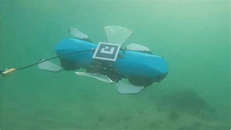 Rov Underwater Robotics Artofit