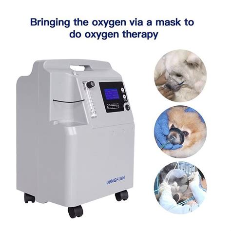Longfian JAY-5AW Veterinar Oksigen Concentrator Untuk Pembekal dan ...
