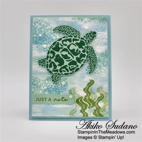 Sea Turtle Stampin In The Meadows