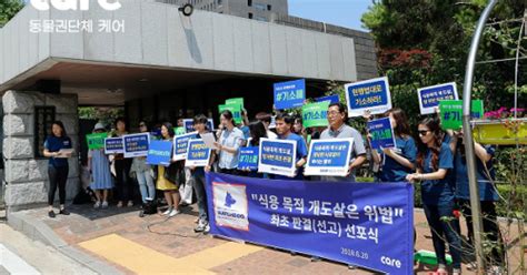동물권단체 케어 식용 목적 개도살 위법 최초 판결 선포식