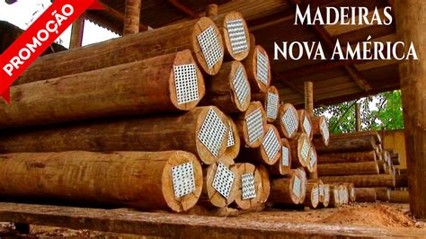 Eucalipto Tratado Madeiras Nova América
