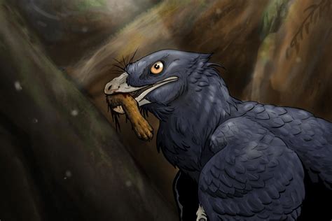 Fóssil de milhões de anos é ª evidência de dinossauro comendo mamífero Ciência Galileu