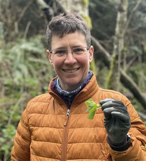 Spring The Energy Of Wood Element Meridian Passage Wellness