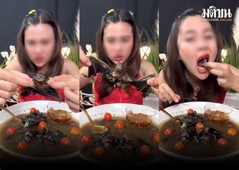 สำนึกผิดไม่ทัน ต้นสังกัดตั้งกก สอบครูสาวอัดคลิปกินค้างคาว หลังถูกจับ