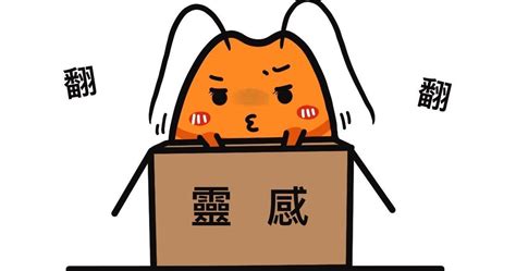 「蝦妹」精選文章懶人包（持續更新！）｜popdaily 波波黛莉