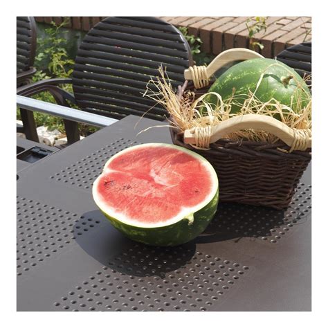 Tavolo da Giardino Allungabile in Plastica Levante ArredaSì